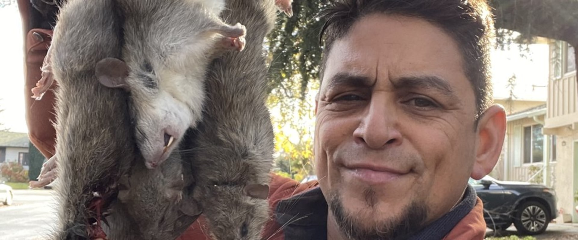 Top Reasons To Invest In Rat Exterminator Services For Successful ...