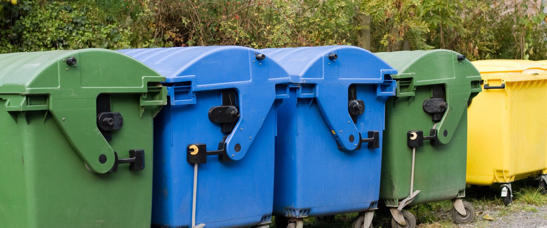 The Benefits Of Dumpster Rental For Arboriculture Businesses In Louisville