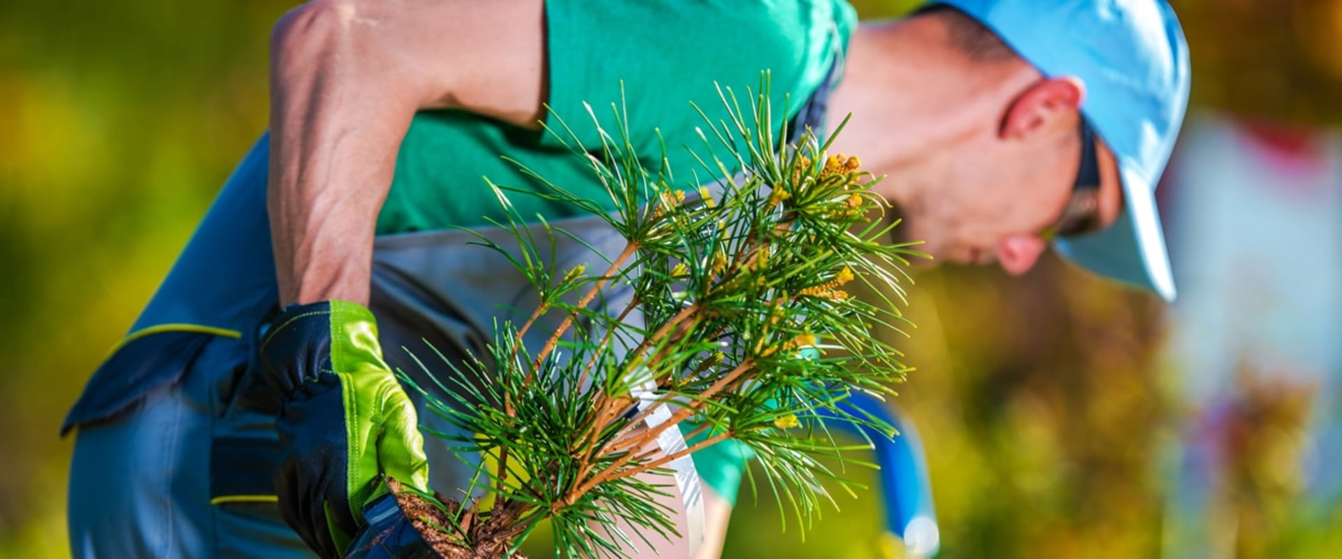 What is the difference between a gardener and a landscaper?