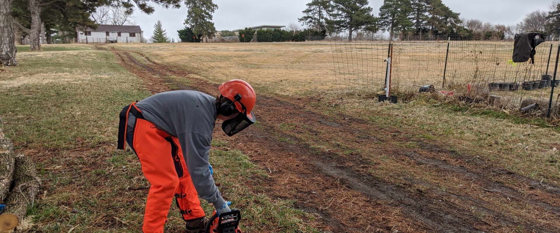 What is a professional tree person called?